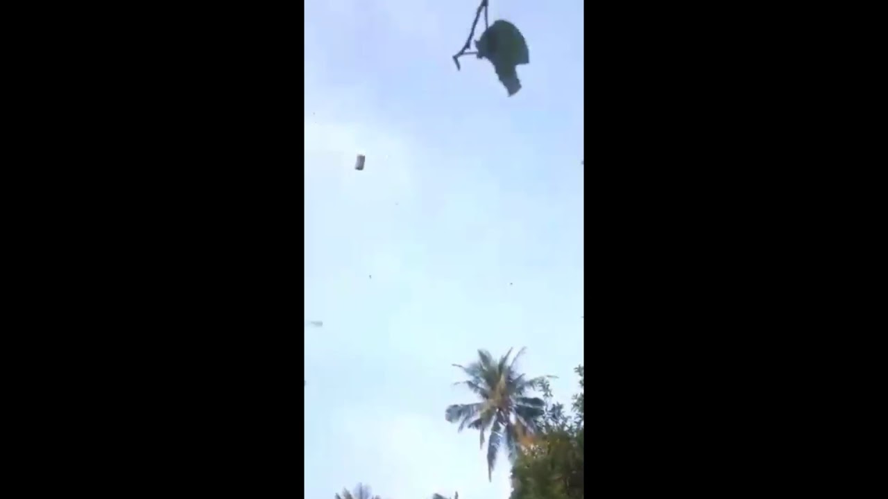 Viral meriam katak berkuasa tinggi memang tinggi dia melambung - YouTube