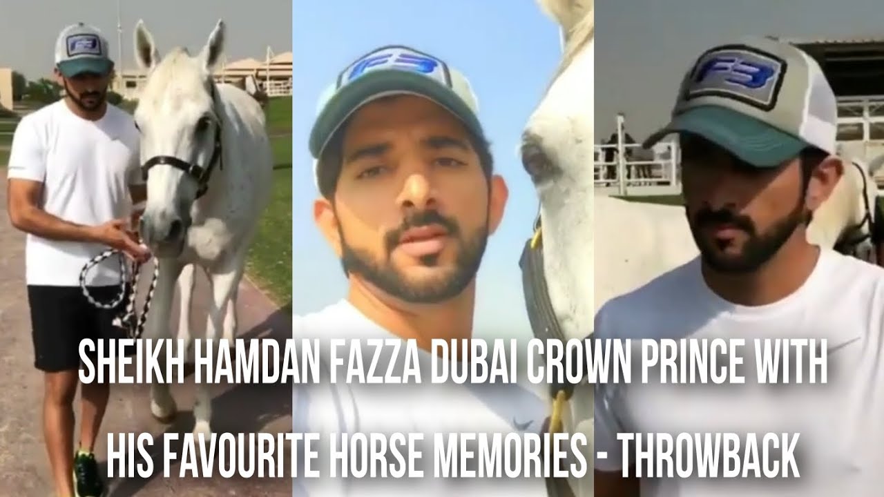 Sheikh Hamdan Fazza Dubai Crown Prince With His Favourite Horse ...