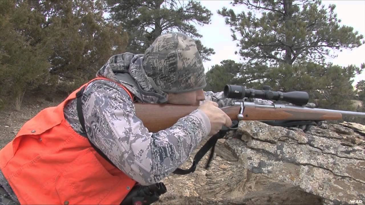 Into High Country - Montana Badlands Mule Deer - YouTube