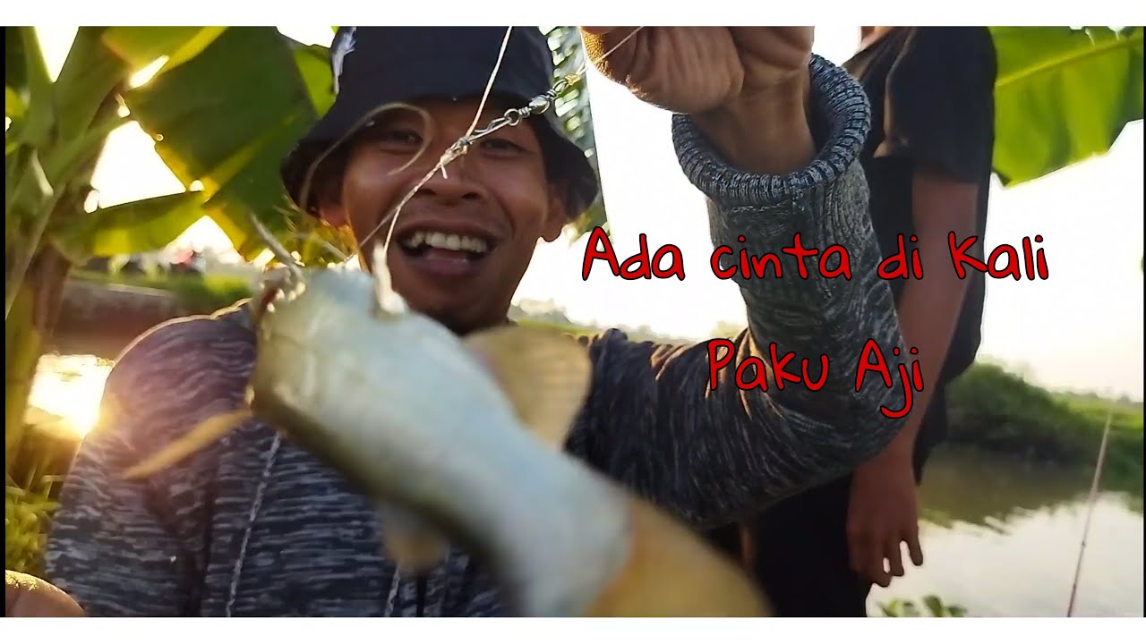 Mancing || Ada Cinta di Kali Paku Aji - YouTube