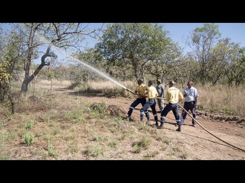 SA: Second batch of firefighters headed to Canada to combat wildfires ...