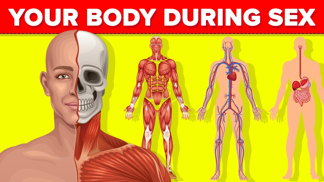 What Happens To Your Body While You Are Having Sex And Other Body