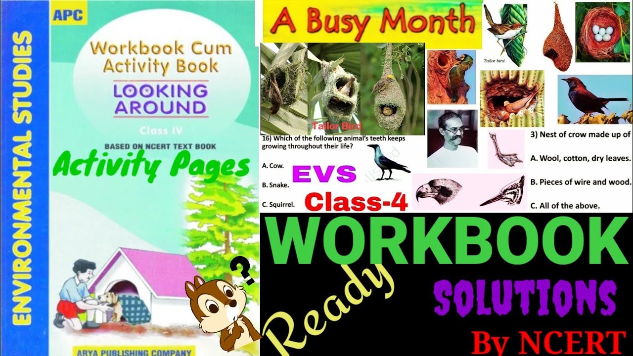 WORKBOOK PRINTABLE SOLUTION APC A Busy Month Looking Around workbook-printable-solution-apc-a-busy-month-looking-around