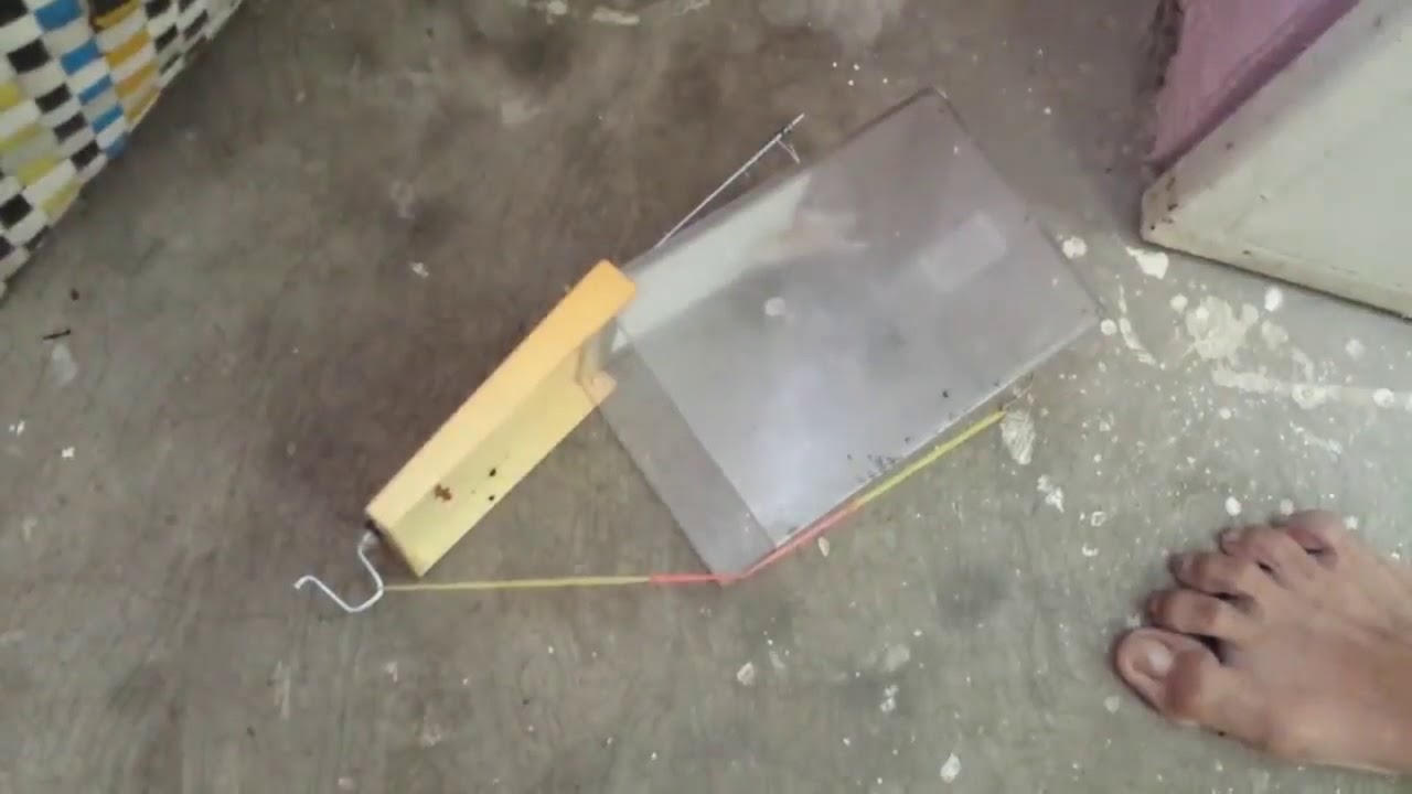 How to do simple and easy mouse trap in a box - YouTube