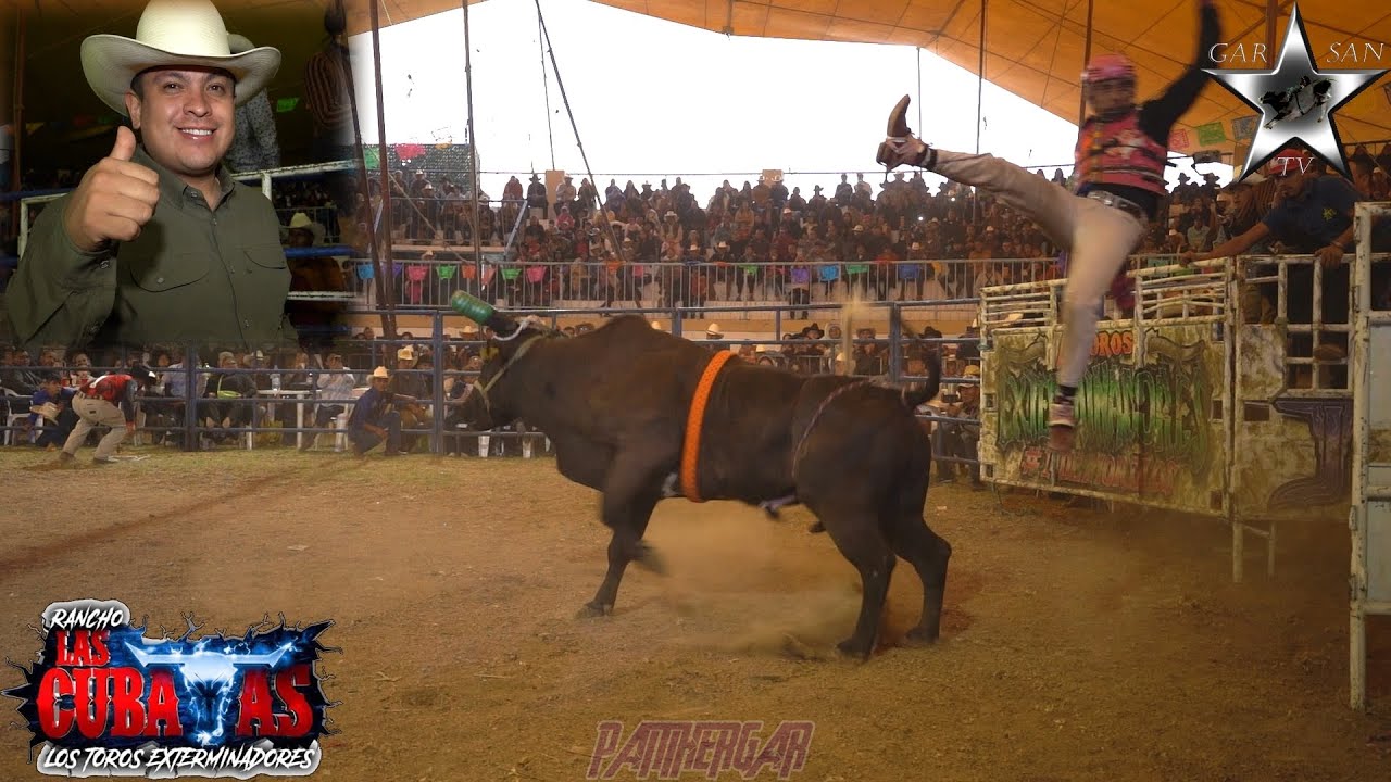 R. LAS CUBATAS, EL TORO REGRESO AL JINETE AL CAJON. - YouTube