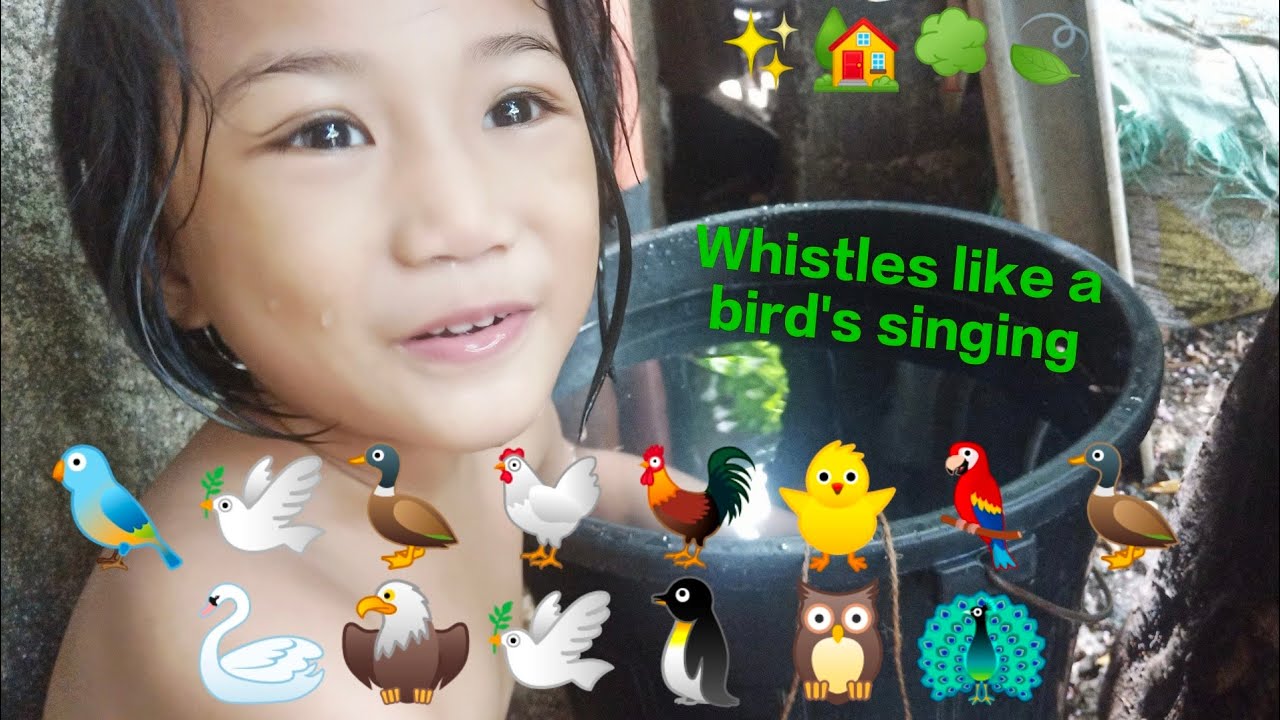 Baby whistling, same sound of the fantail bird - YouTube