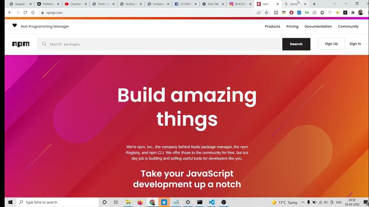Node.js Express Instagram API Profile & Timeline Posts Scraper in Browser Using Javascript - YouTube