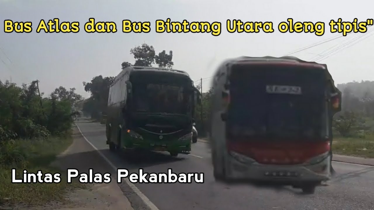Lintas palas Pekanbaru ‼ bus atlas dan bus bintang utara oleng - oleng ...