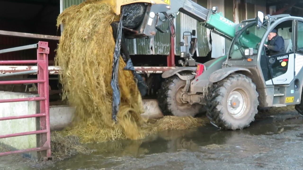 feeding cows silage with a Kramer kt 356 and a Tanco bale grab - YouTube