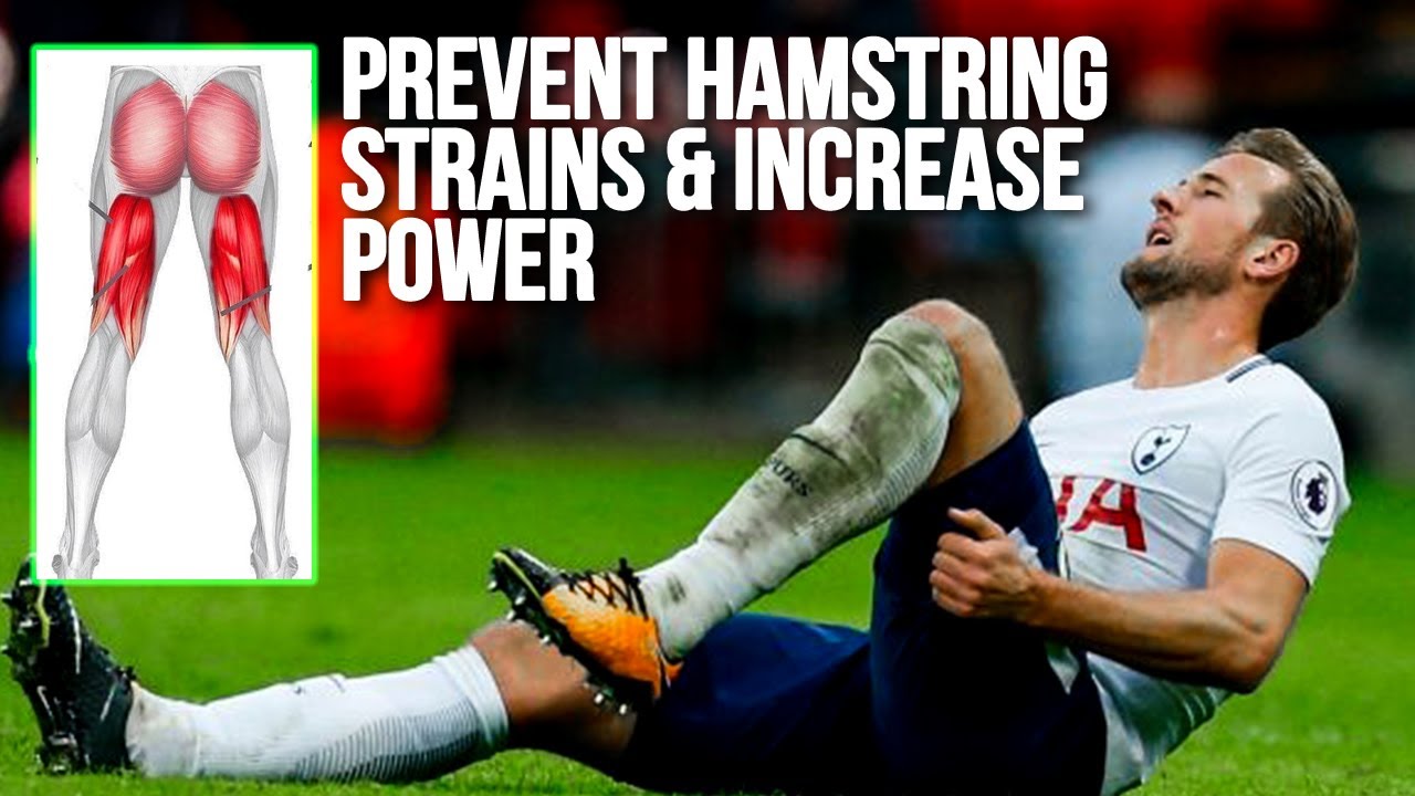 Four Exercises To Prevent Hamstring Injuries & Increase Strength/Power ...