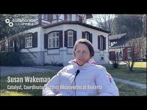 Catalyst Susan Wakeman | SDGs 11 & 12 - YouTube