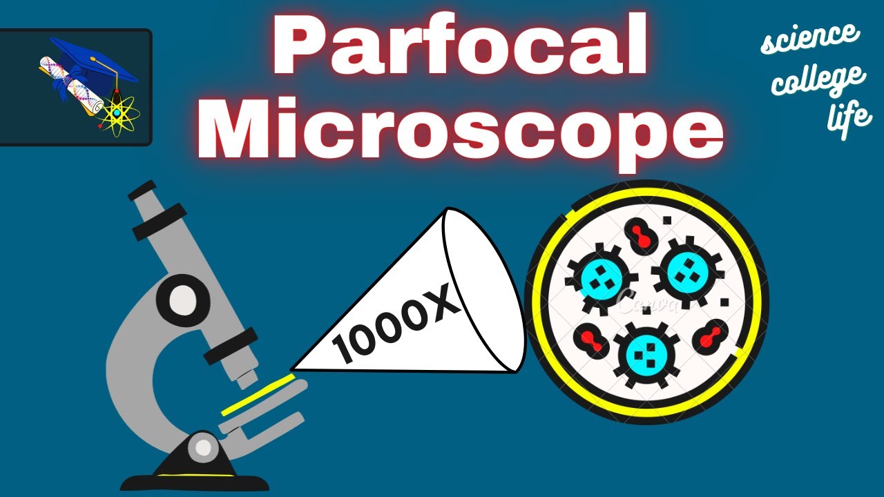 Parfocal Microscope | Microscopy | Microbiology Lab - YouTube