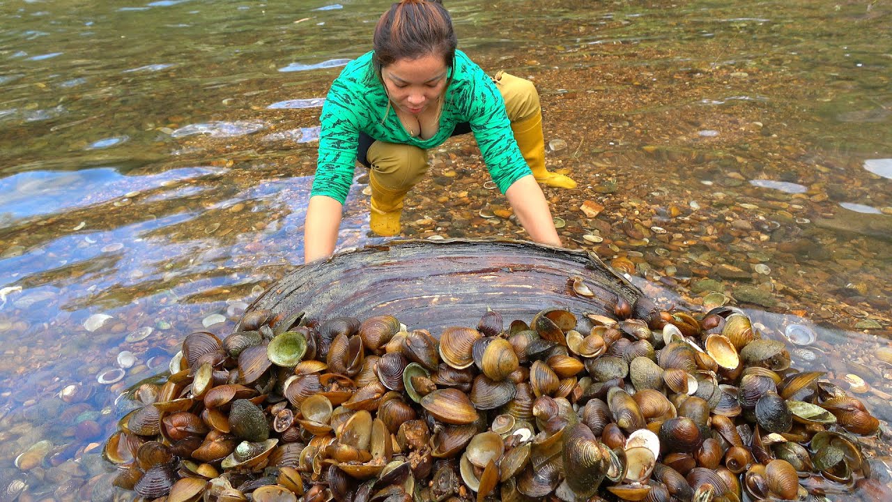 The clams in the river pile up like mountains, and the beauty opens the ...