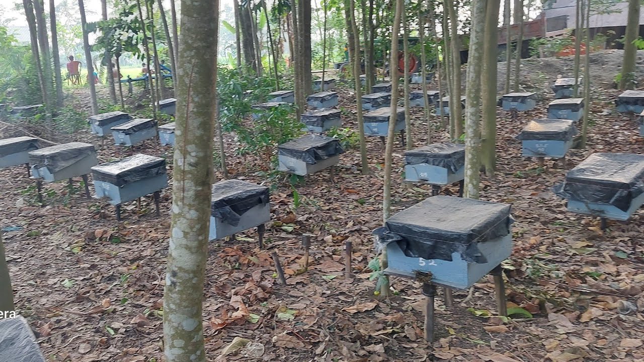 box change - YouTube