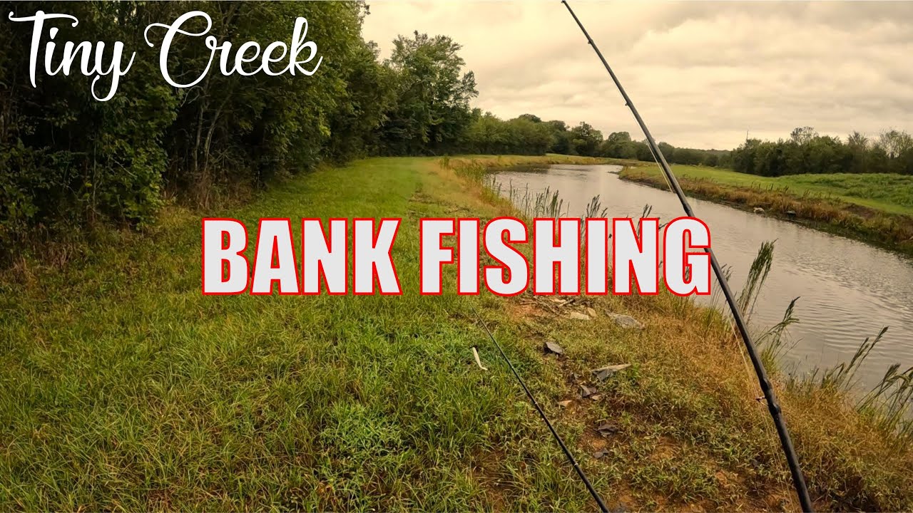 Bank Fishing A Tiny Creek For Bass - YouTube