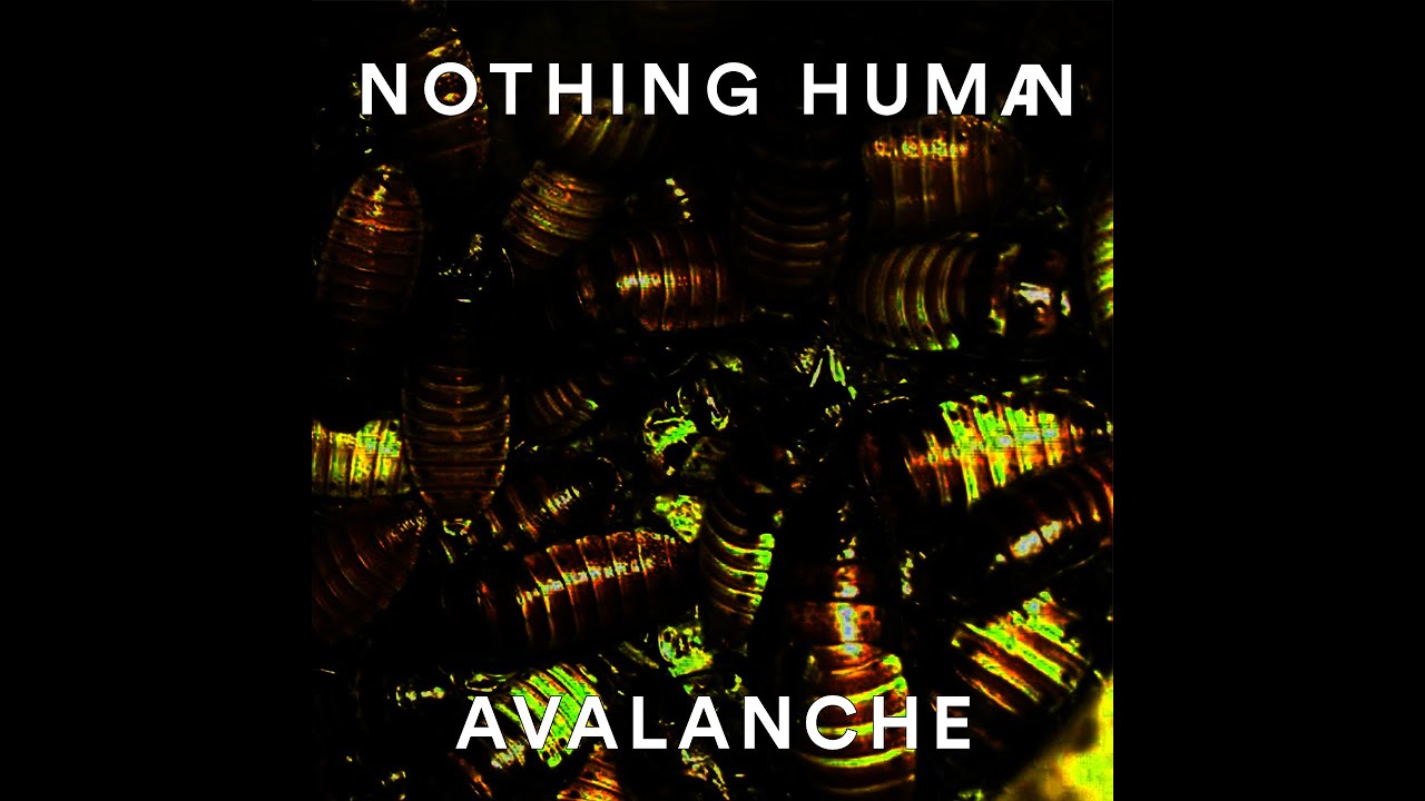 Nothing Human - Avalanche (official audio) - YouTube