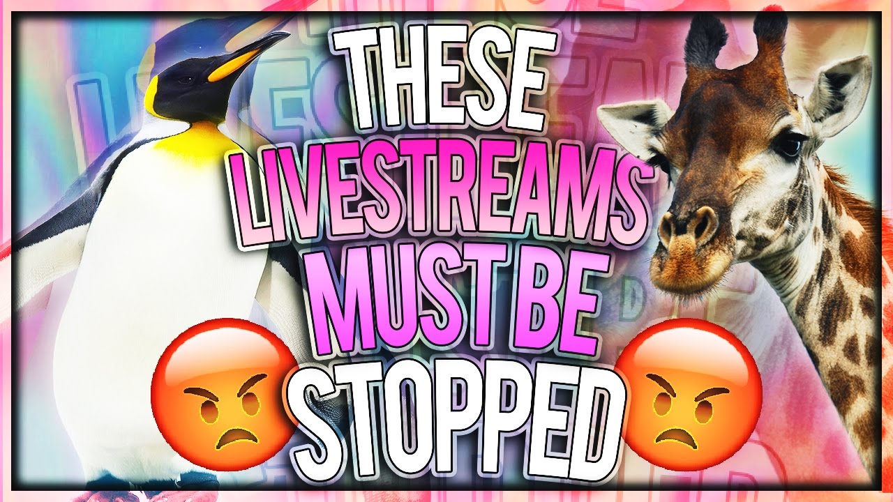 These Animal Live Streams MUST BE STOPPED - YouTube