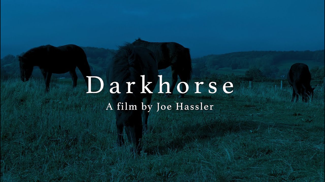 Darkhorse (The Documentary) - YouTube