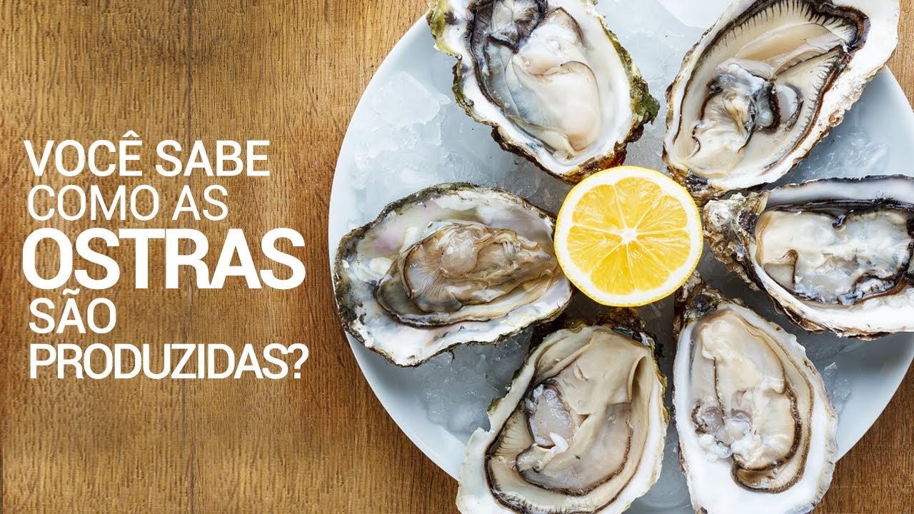 Descubra o fascinante processo de Cultivo das Ostras - YouTube