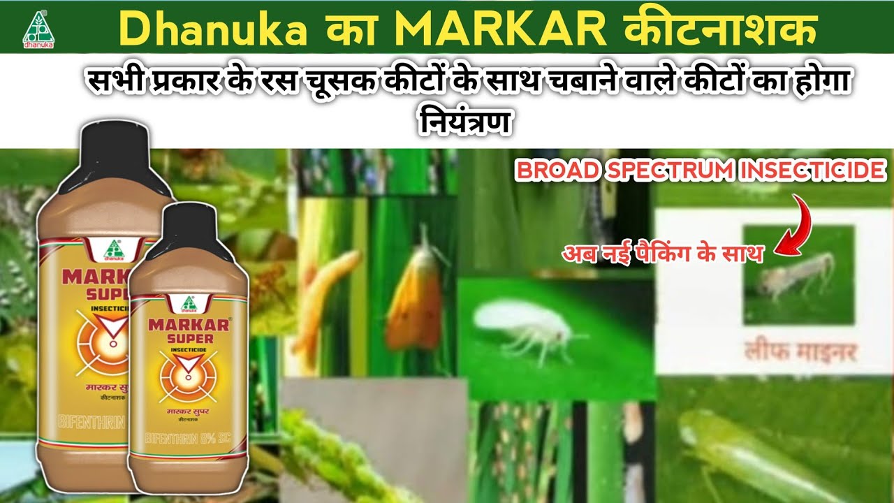 dhanuka markar insecticide | bifenthrin 8% s.c. | पूरी जानकारी हिंदी ...