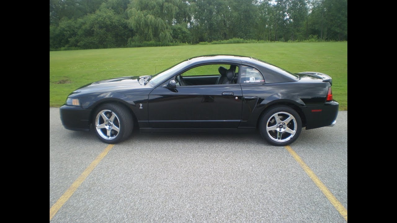 2004 Ford Mustang SVT Cobra "Terminator" Certified Limited Edition ...
