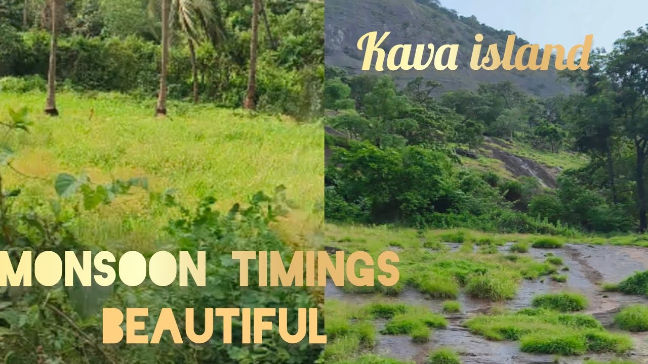 Kava island way to go #travel #forest #nature - YouTube