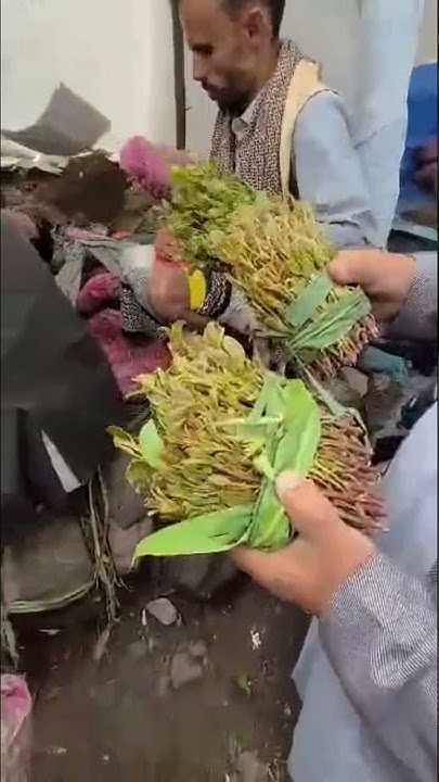 قات الوقش في #إب #YEMEN #IBB #اليمن - YouTube