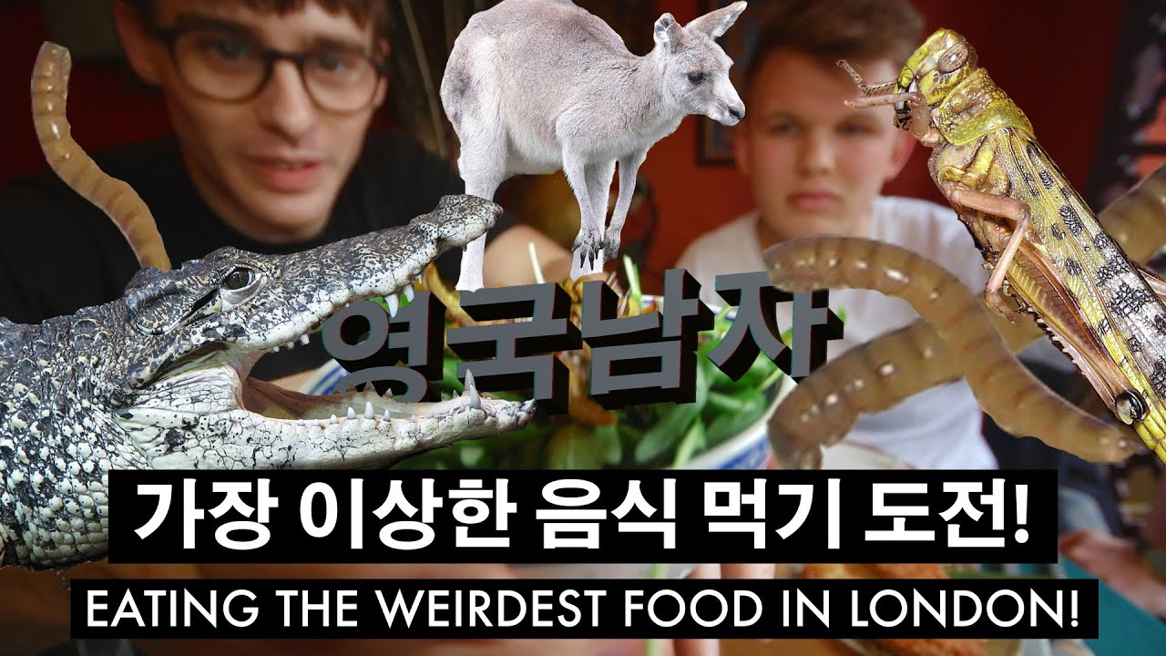 이상한 음식 먹방 도전: 벌레,악어,낙타,캥거루!! // Eating Bugs,Crocodile,Kangaroo, and ...