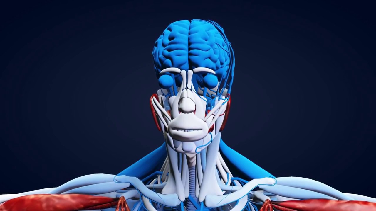 Sonic Geometry - Communicating with the Universe in 432hz - Top ...