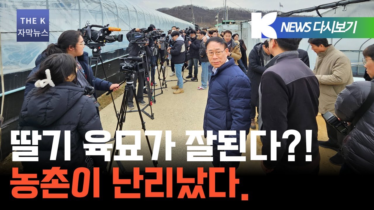 딸기 육묘가 잘 된다 농촌이 난리났다 클라스만 데일만 상토를 사용하는 농가 인터뷰 Youtube