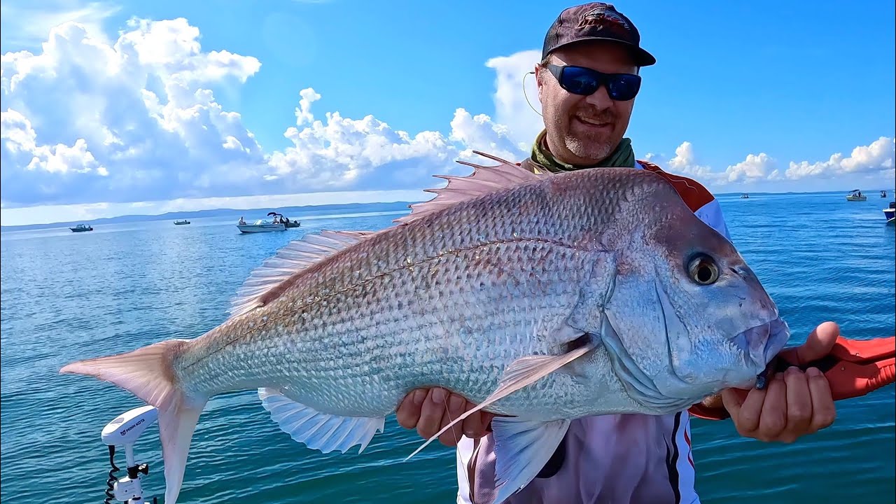 2023 wrap up/ Brisbane snapper/ Monduran Barramundi and more - YouTube