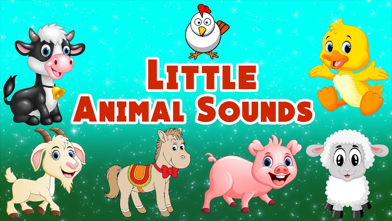 Little Animal Sounds | Nursery Rhymes for Toddlers | LittleKidsTV - YouTube