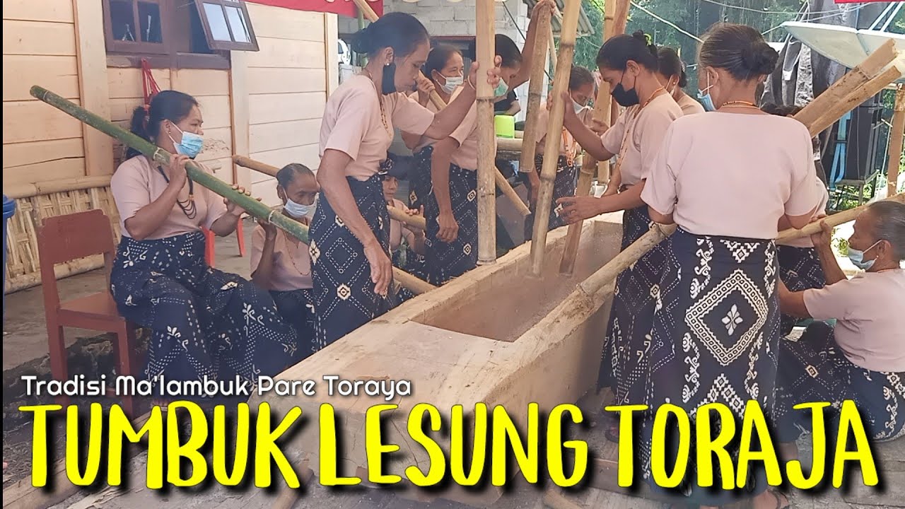 MA'LAMBUK Tradisi Kebudayaan Toraja di Acara Rambu Solo - YouTube