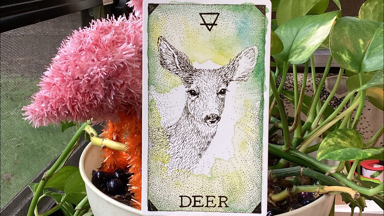 Under the right effluence - YouTube