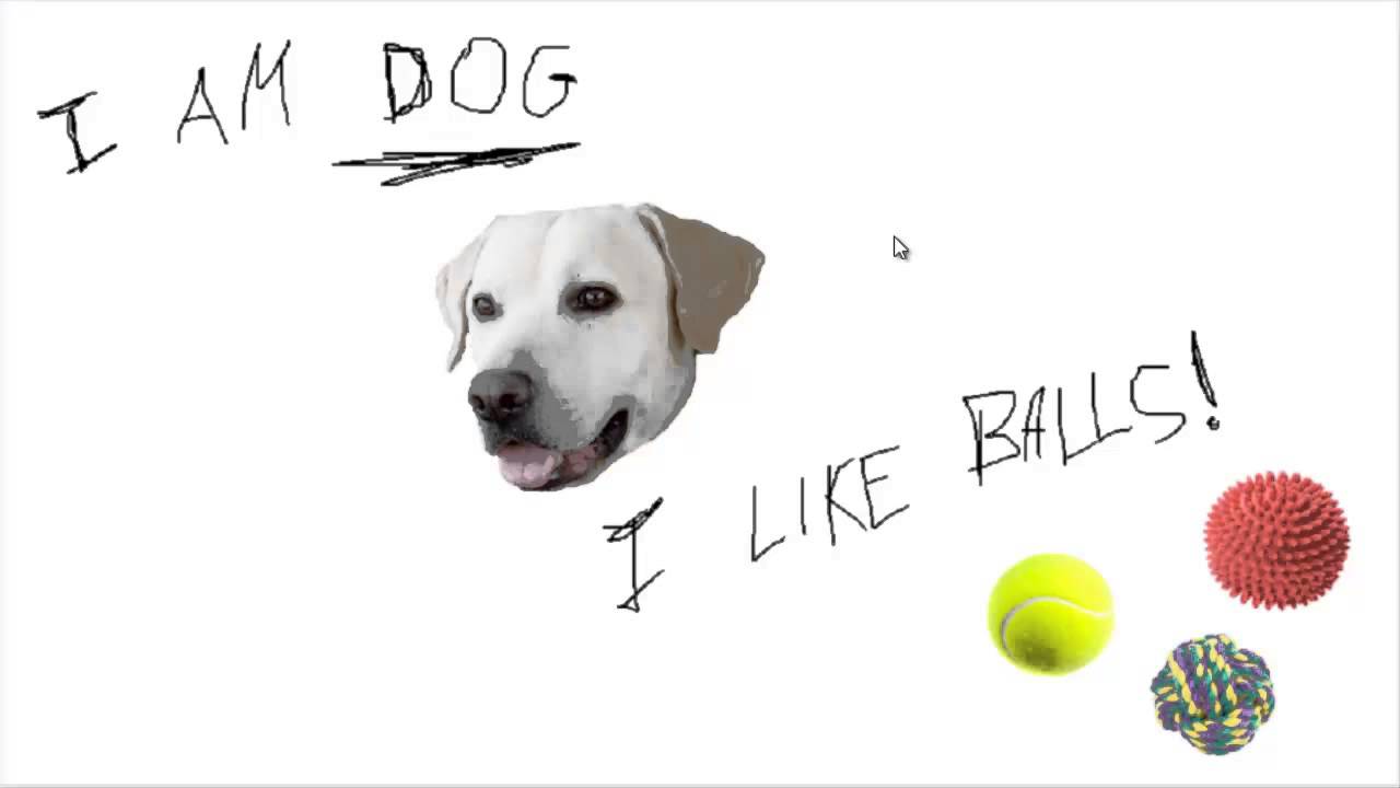Prezentare canal I AM DOG! - YouTube