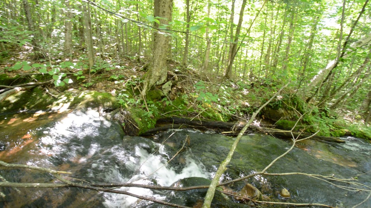 Northumberland, NH Land for Sale. Over 900 Acres - YouTube