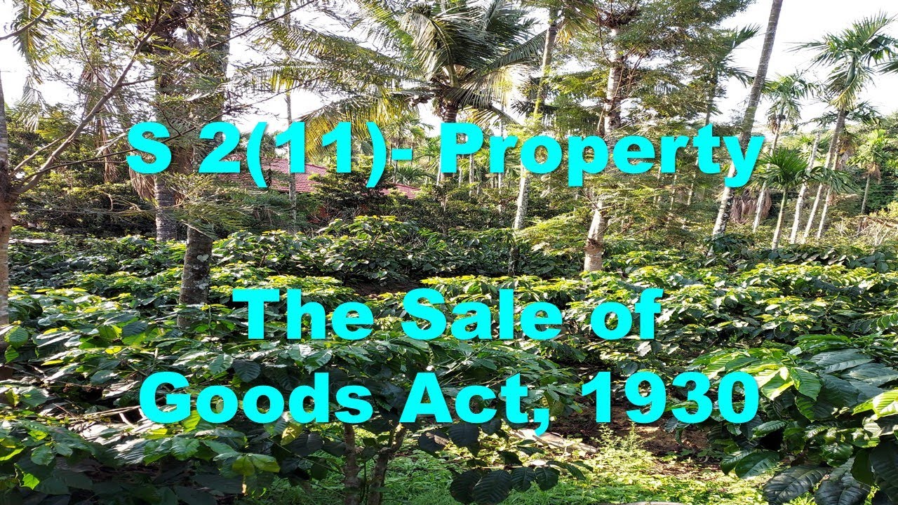Definition of Property (S 2(11)) of Sale of Goods Act, 1930 - YouTube