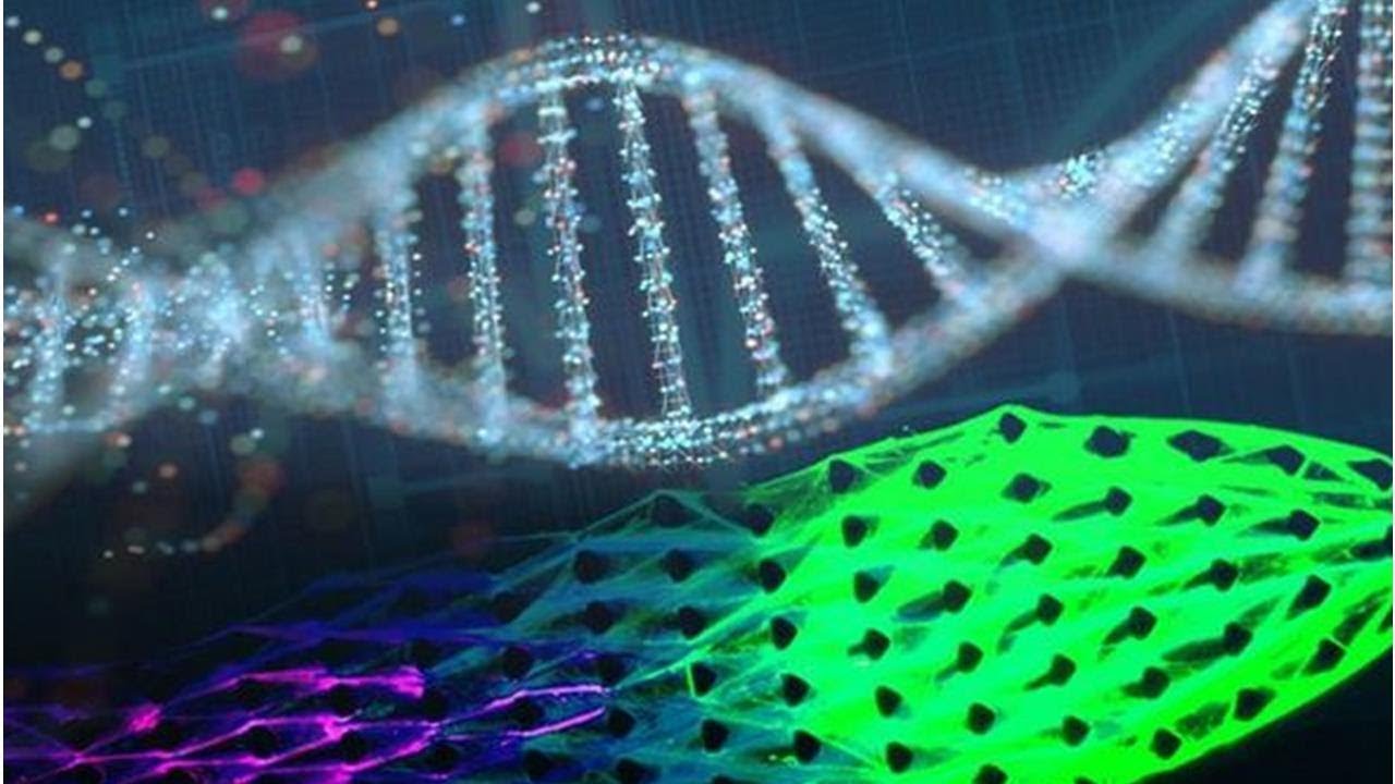 Regenerating ROBOTS: Machines made from DNA show signs of LIFE - and ...