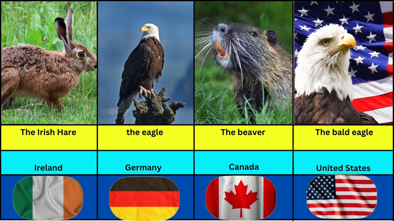National Animals of Different Countries of the world - National Animals ...