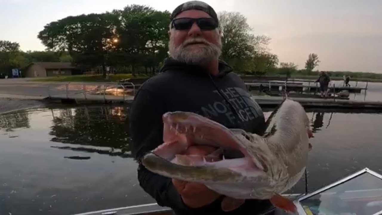 Fox River Monster Fish with Teeth - YouTube