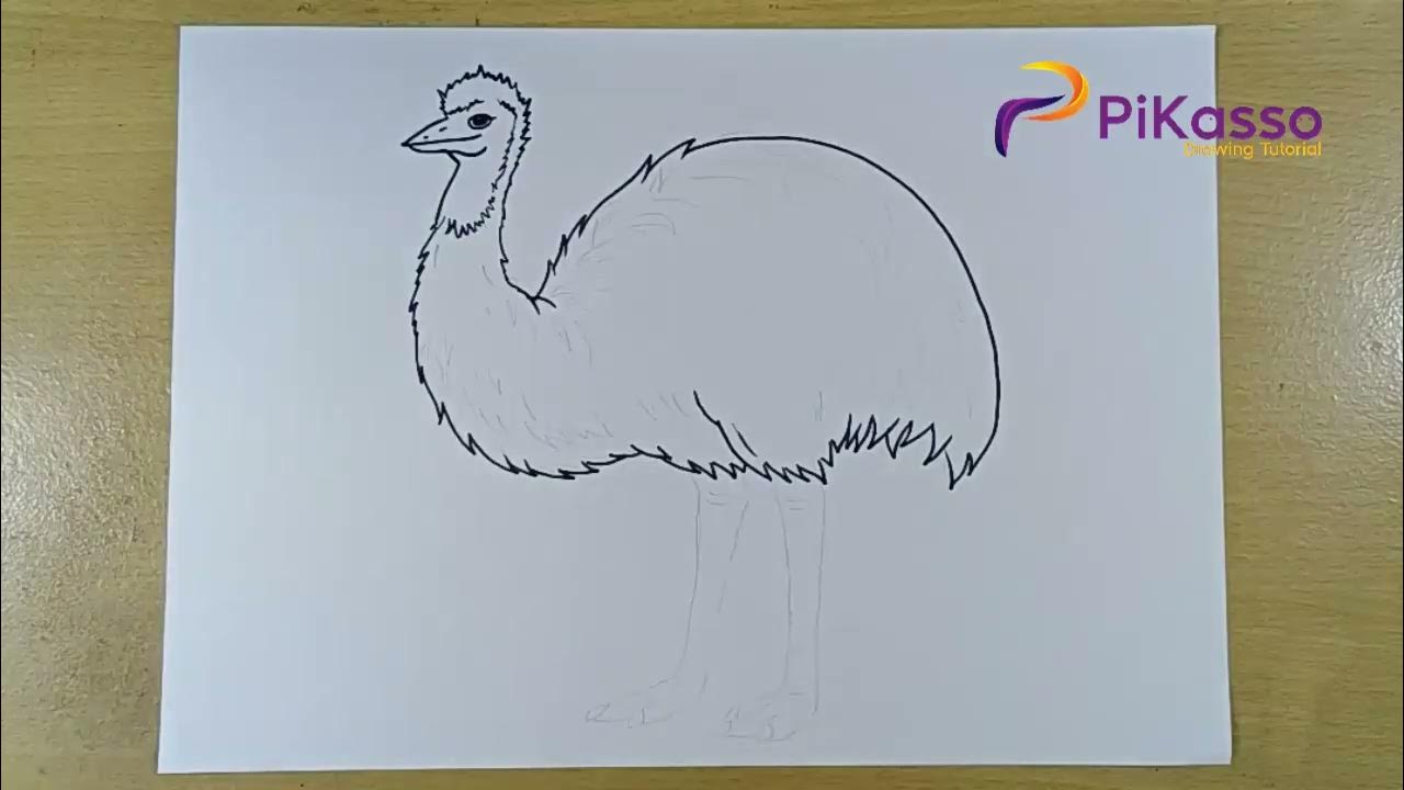 How to Draw an Emu Easy - YouTube