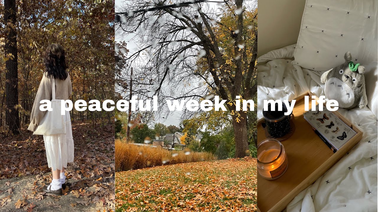 peaceful week in my life vlog - cozy at home, rainy autumn days, no ...