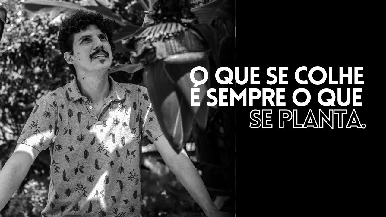 O que colhe é sempre o que se planta. É tempo. - YouTube