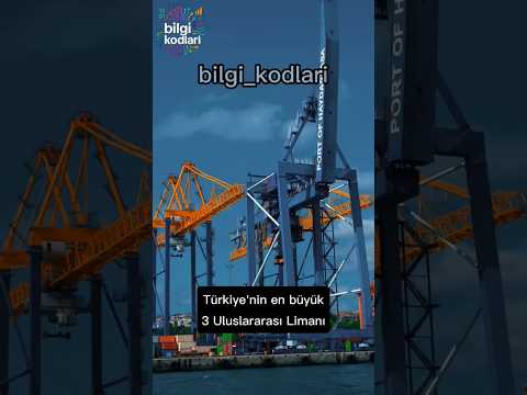 Türkiye'nin en büyük 3 uluslararası limanı🚢#shorts #liman #konteyner