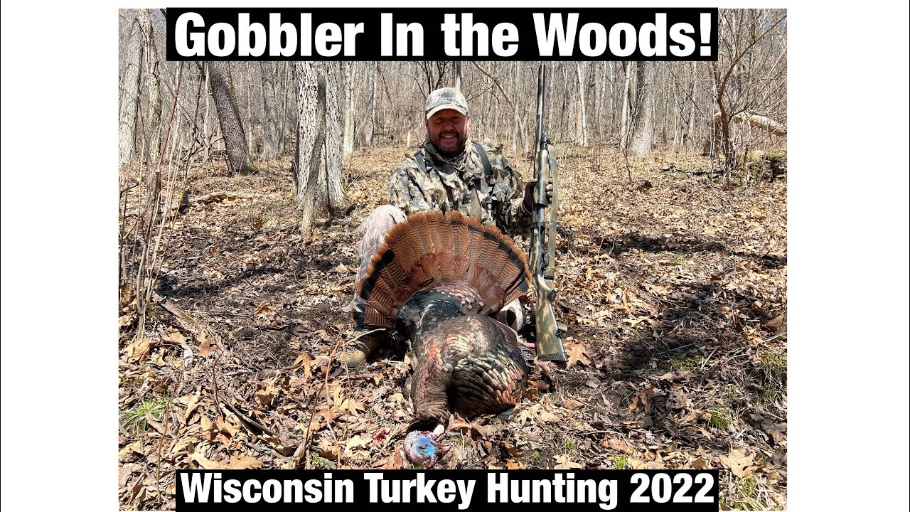 Turkey Down in Wisconsin! - Wisconsin Turkey Hunting 2022 - YouTube