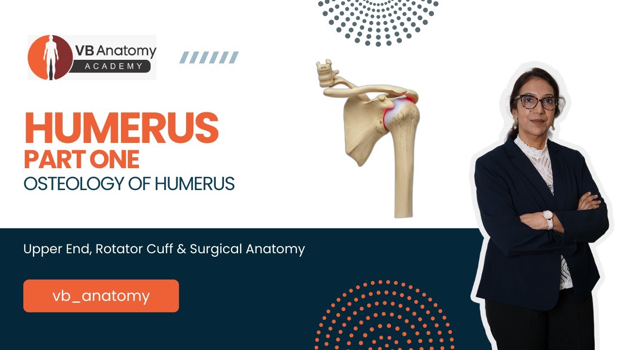 Humerus Part 1 | Osteology of Humerus | Upper End, Rotator Cuff ...