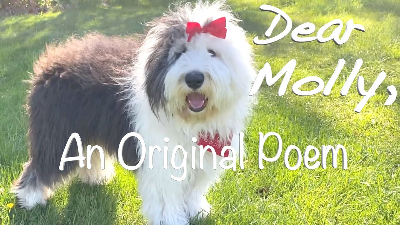 DEAR MOLLY | A Farmer's Original OES POEM - YouTube