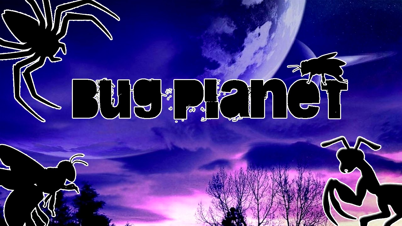 Bug Planet - YouTube
