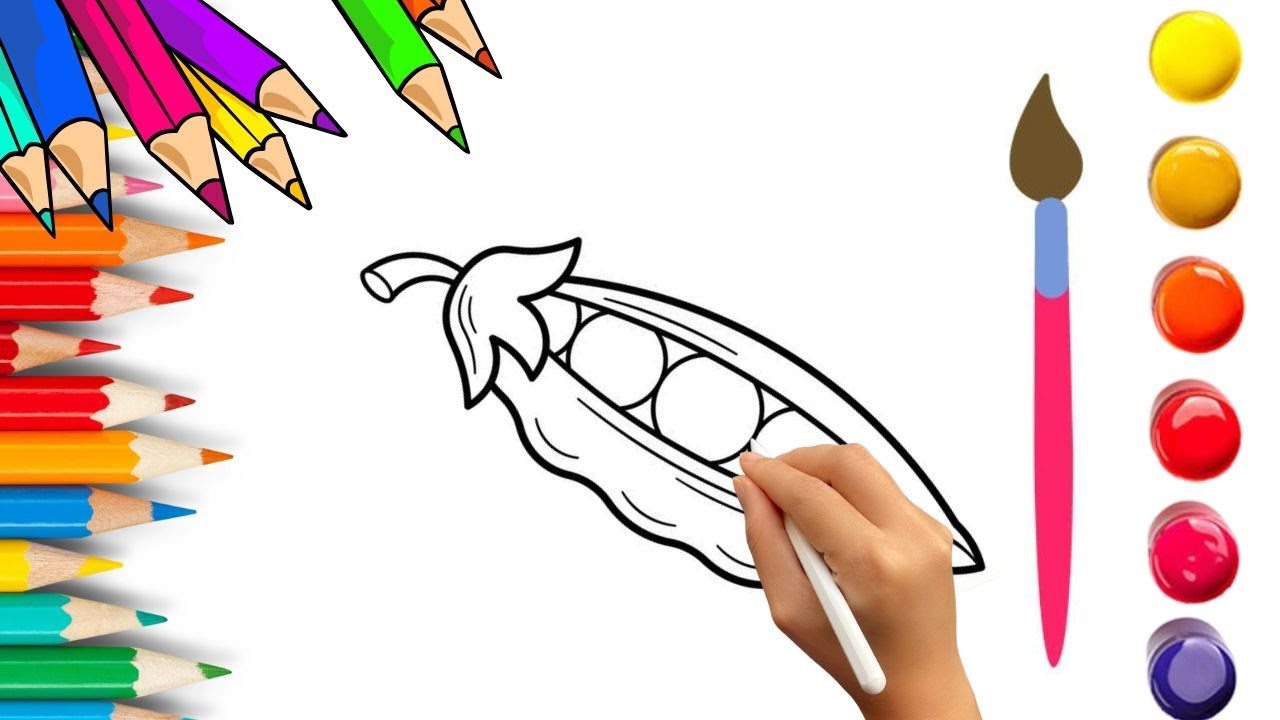 How To Draw cute Beans🫛 Drawing, Painting & Coloring For Kids and ...