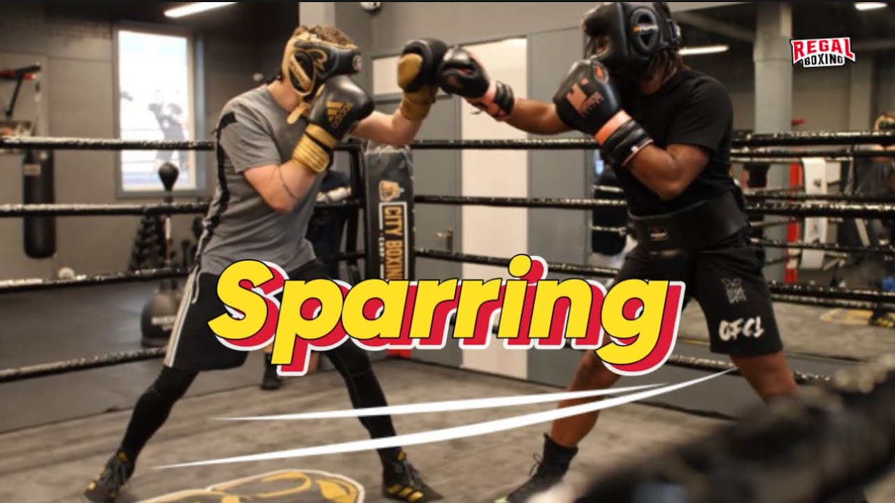 Technical sparring - regal boxing - YouTube